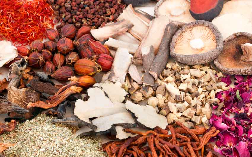 Chinese Herbal Medicine